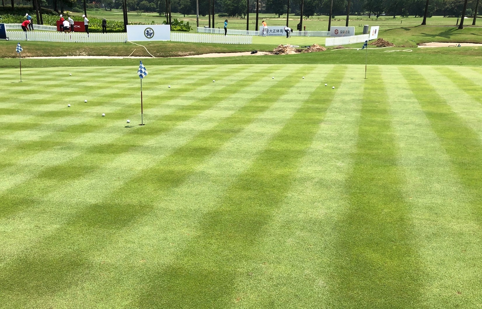 The Benefits of Interseeding Turfgrass - Atlas Turf International