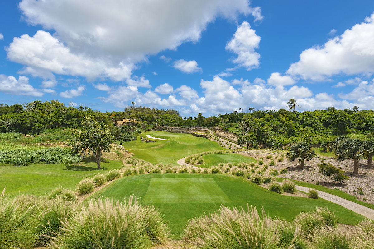 Barbados Golf Course Apes Hill Selects Zorro Zoysia turfgrass