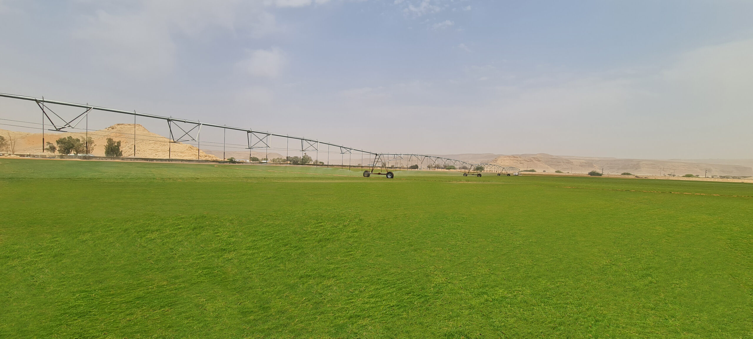 New Gulf Region turf farm receives ITGAP certification for production
