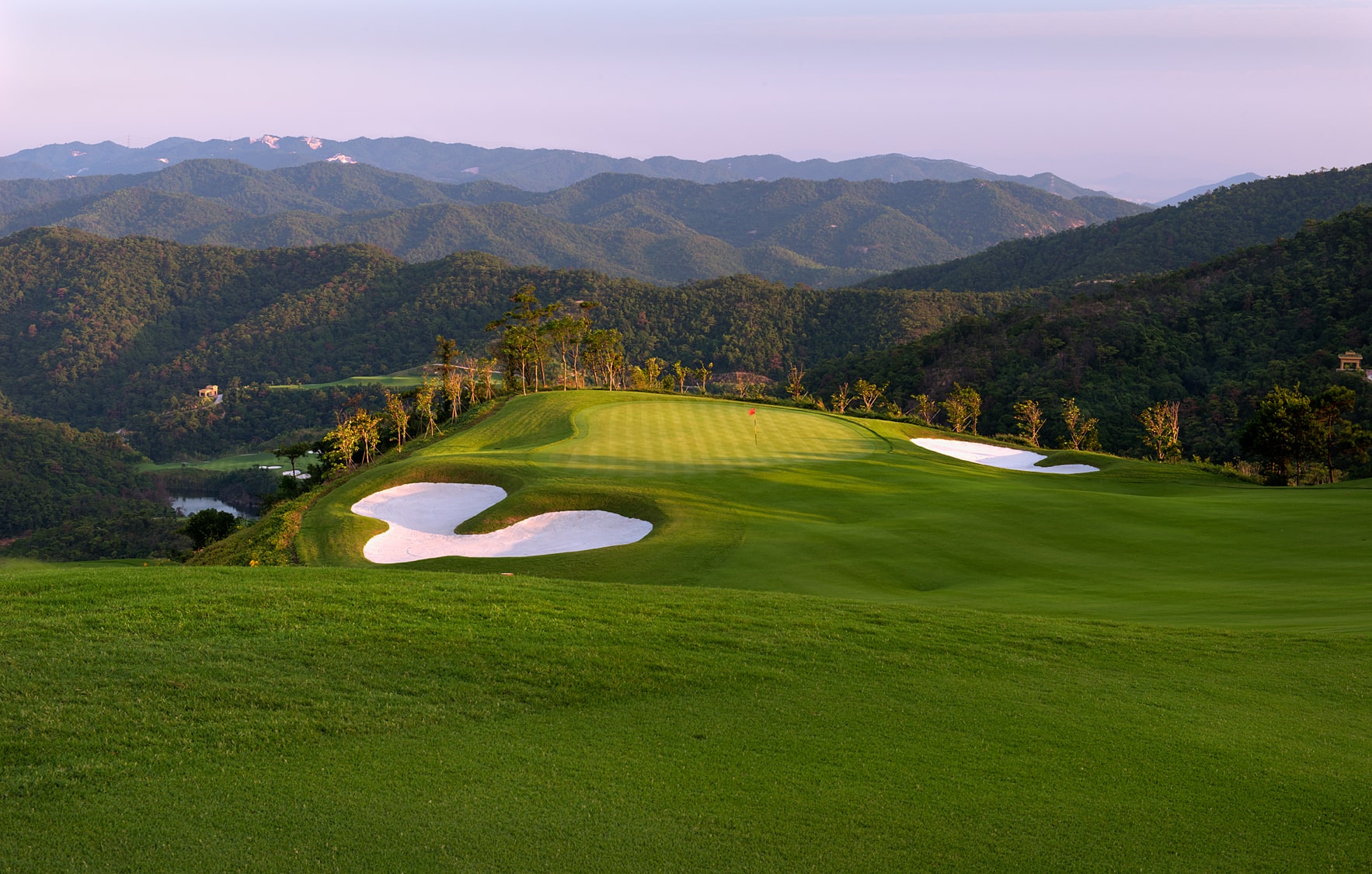 Platinum TE® Paspalum - Available From Atlas Turf