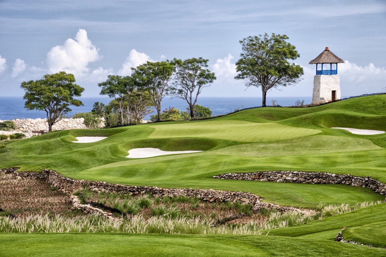 Paspalum is the sustainable turfgrass solution for golf and sports fields.