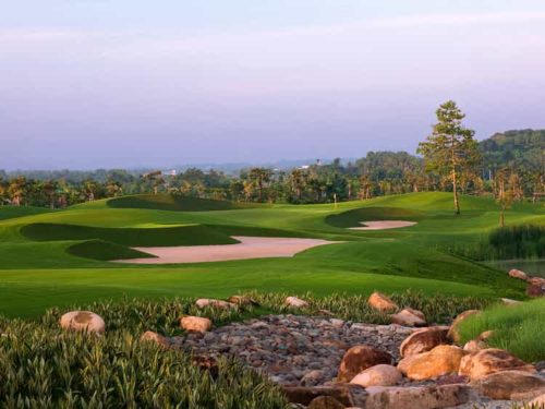 Learn more about sustainable Seashore Paspalum turfgrass