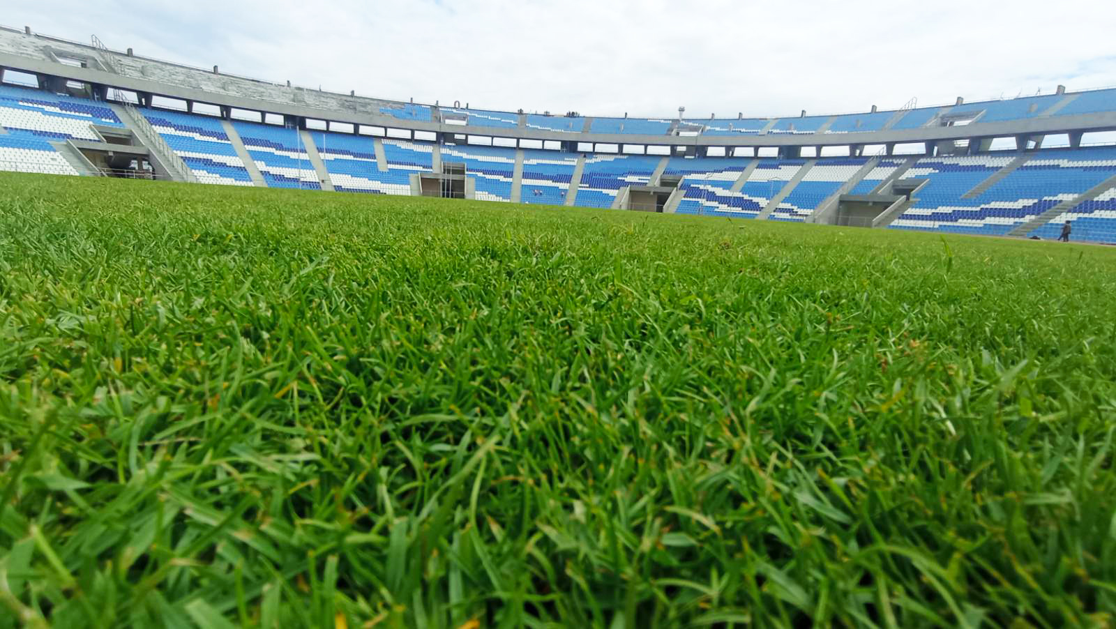 Pure Dynasty Selected for Elite Stadiums in Africa