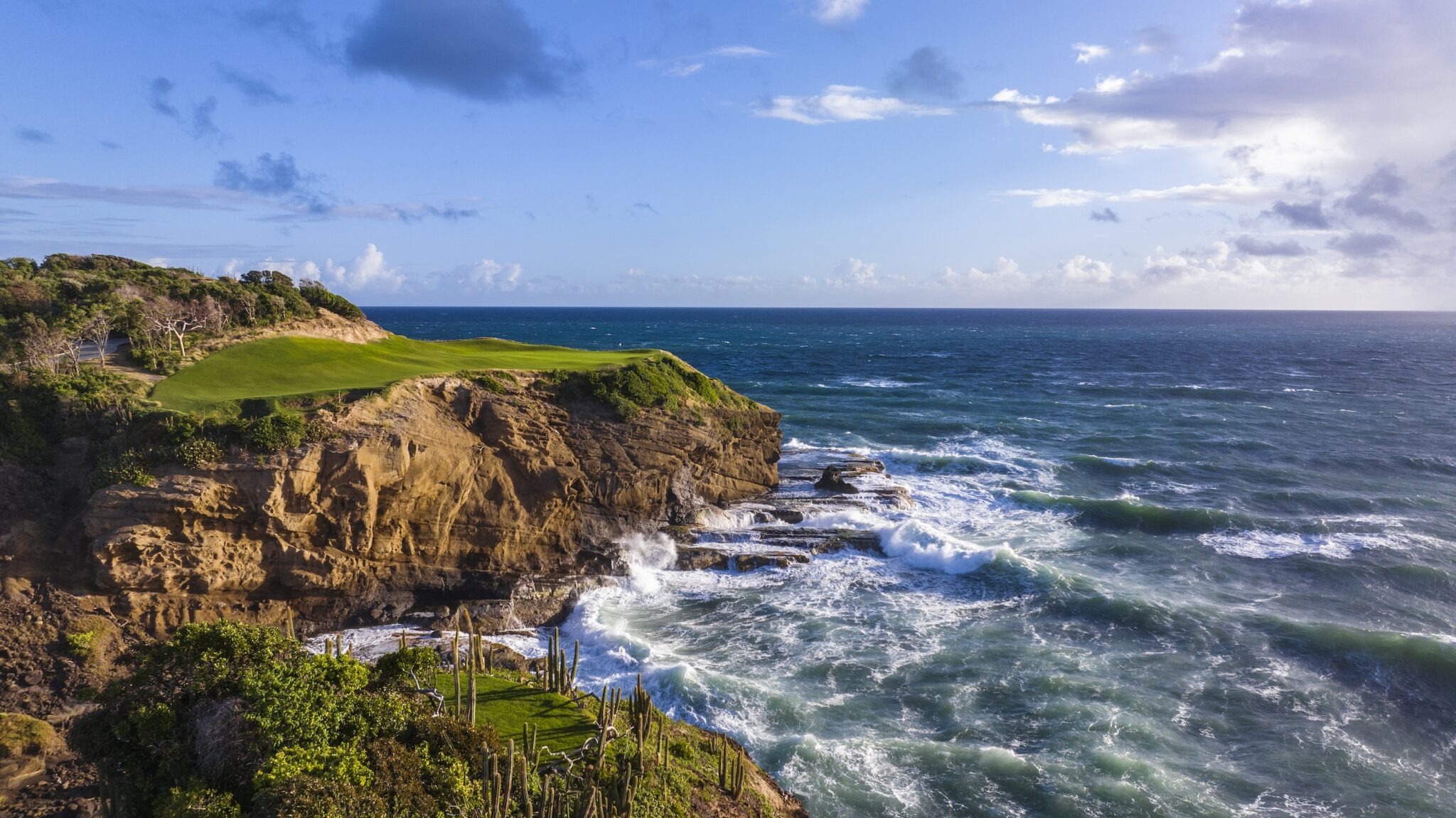 Pure Dynasty Plays Key Role at Cabot Saint Lucia