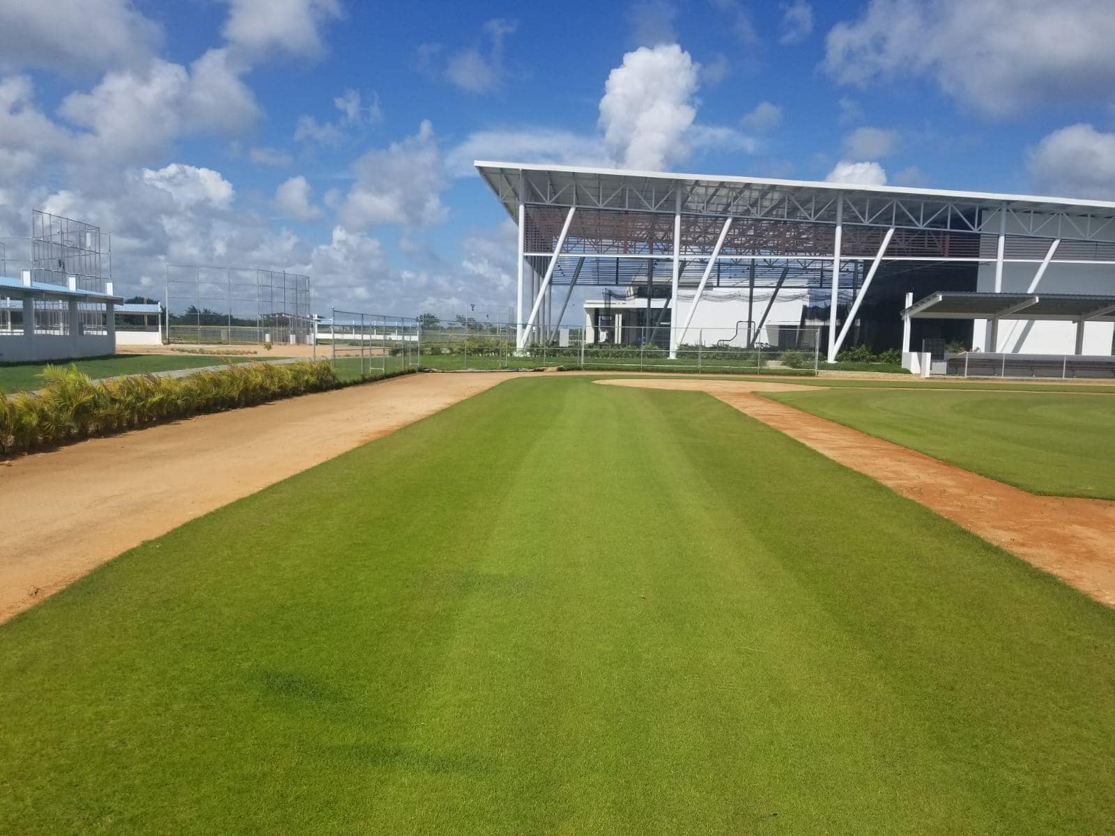 Seeded paspalum provides quality sports field turfgrass for baseball ...