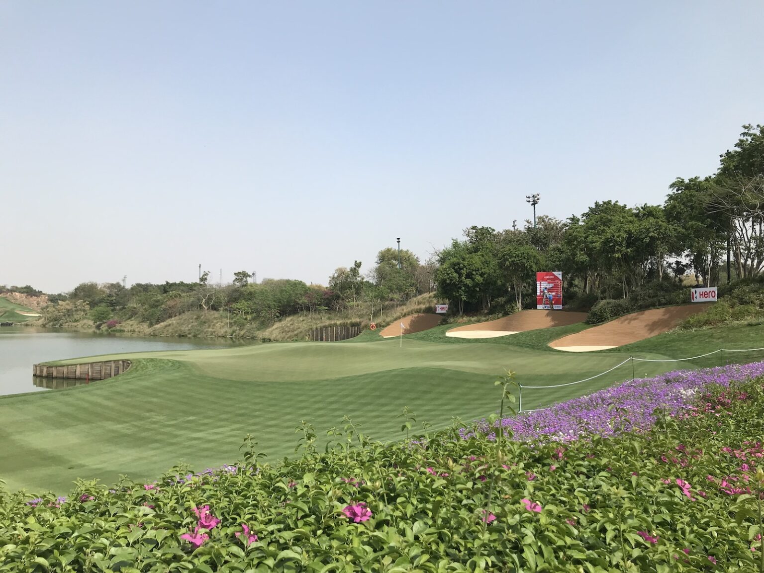 Exporting Worldwide: MiniVerde® Ultradwarf Bermudagrass