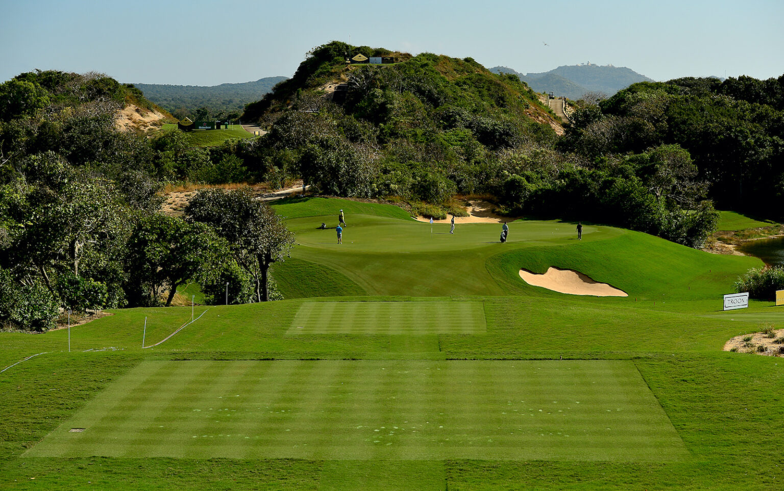 Tifway 419 Bermudagrass - Atlas Turf International