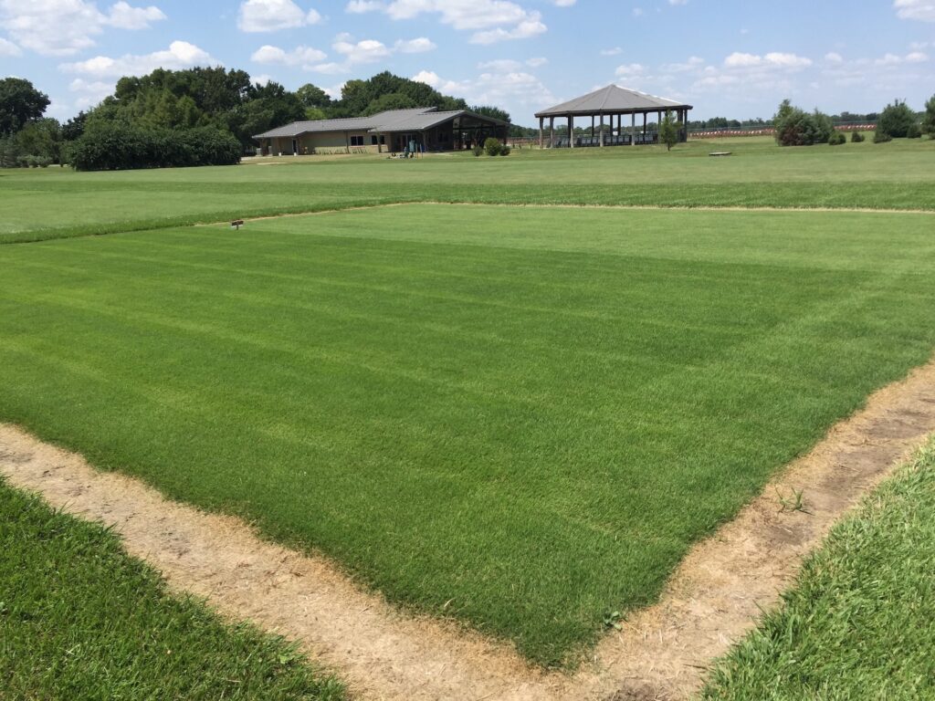 Turfgrass Photo Gallery - Atlas Turf International