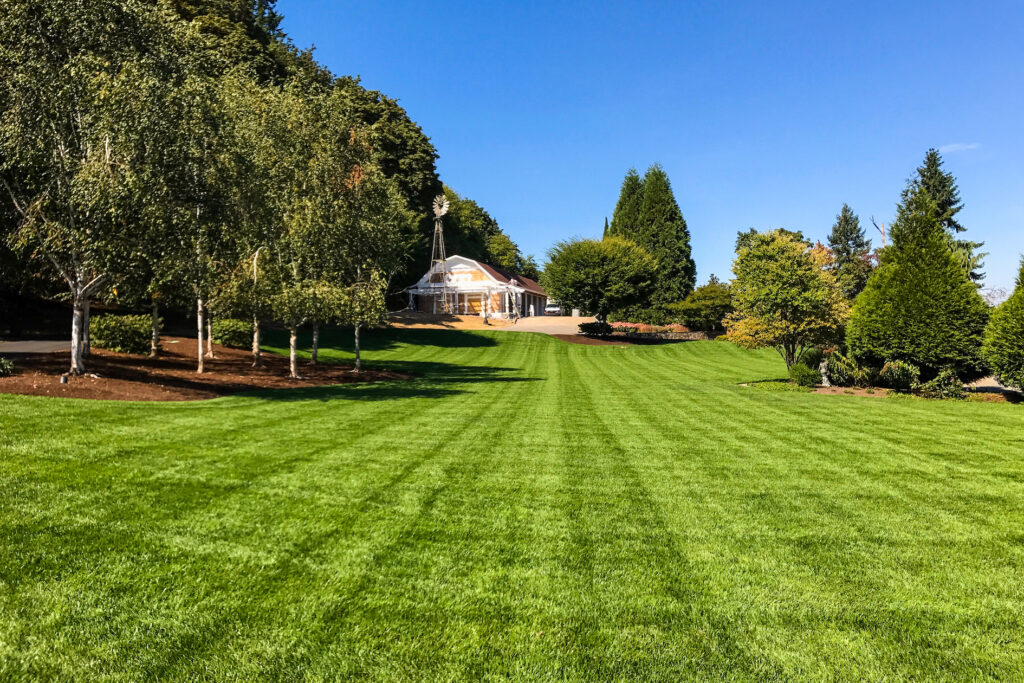 Award-Winning Cool Season Turfgrasses from Atlas Turf