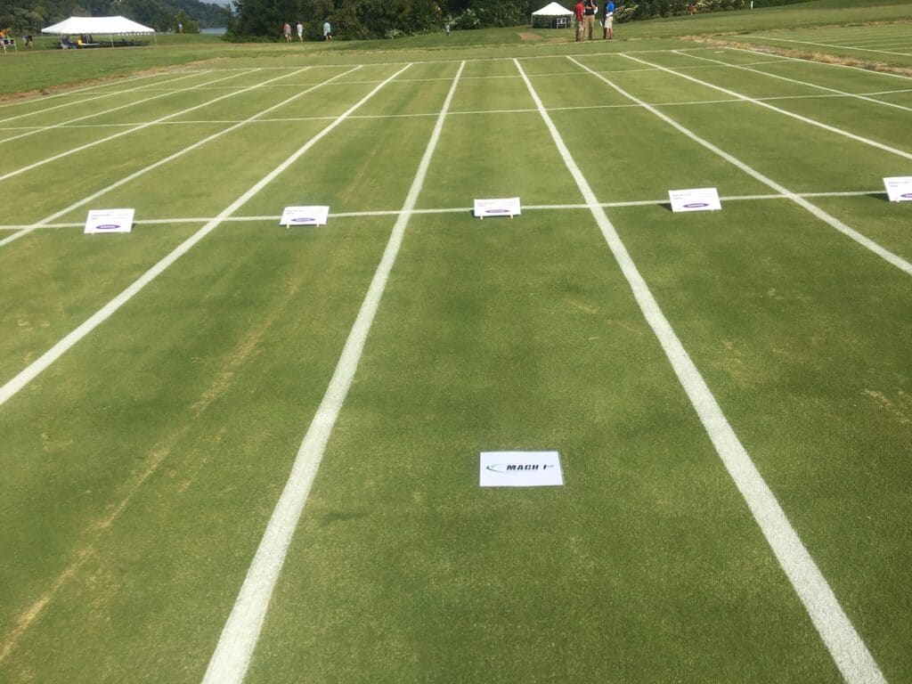 Turfgrass Photo Gallery - Atlas Turf International