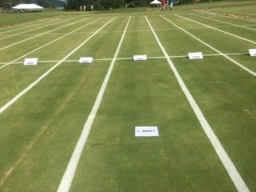 Ultradwarf Bermudagrass Greens - Past, Present, and Future - Atlas Turf