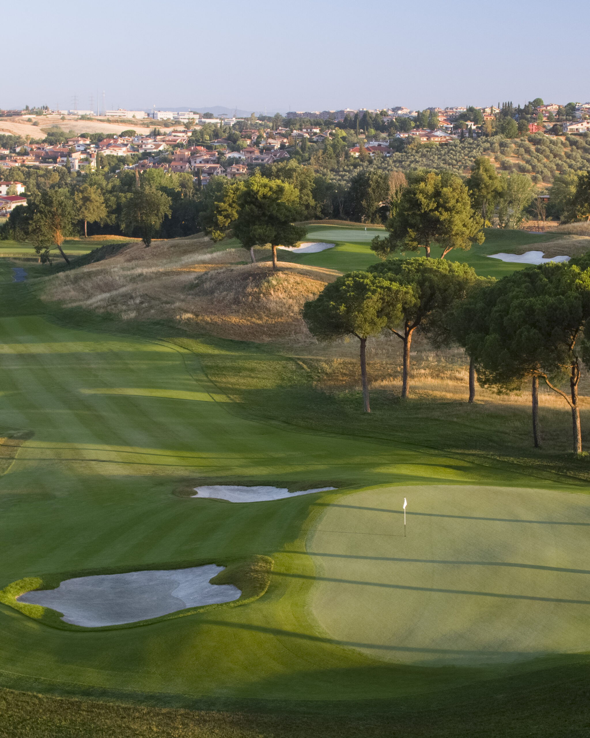 Championship Turfgrasses for Golf's Biggest Competition