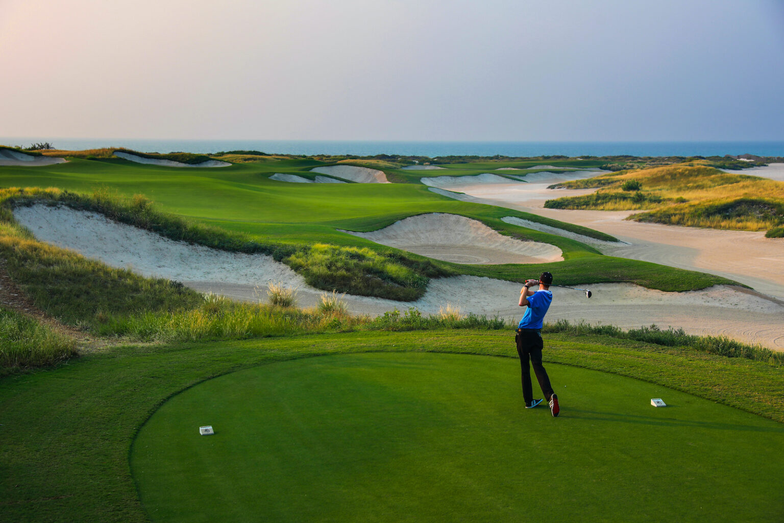 Exporting Worldwide: MiniVerde® Ultradwarf Bermudagrass