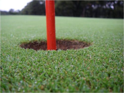 Exporting Worldwide: MiniVerde® Ultradwarf Bermudagrass