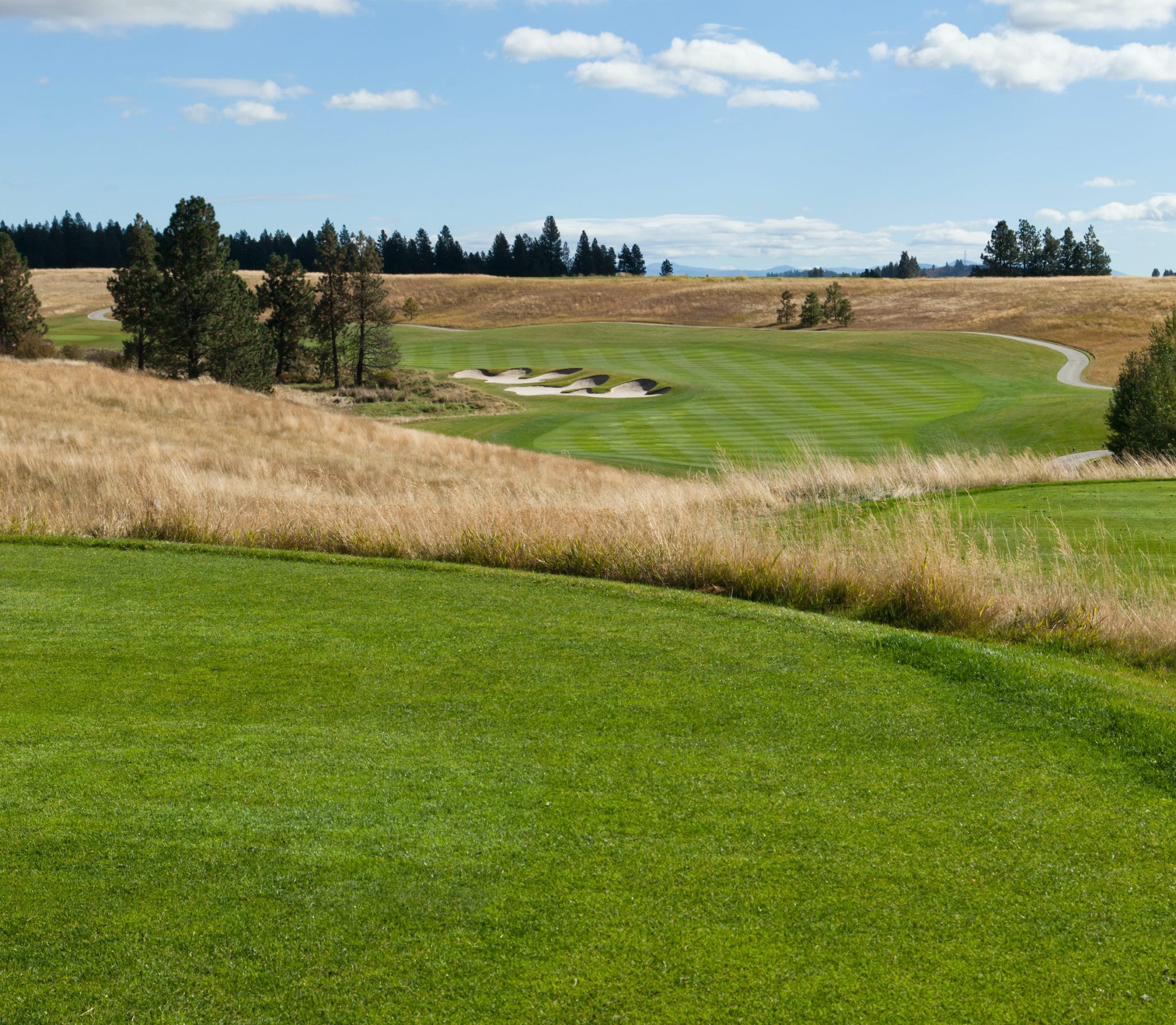 Why every golf and landscape project should include native grasses