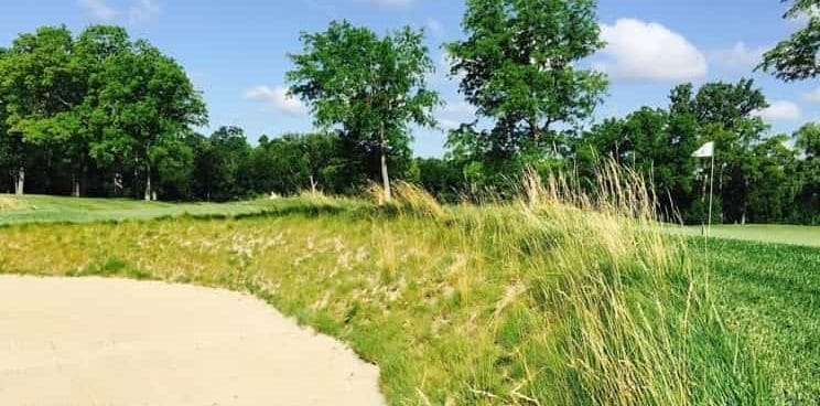Native Grasses Atlas Turf International