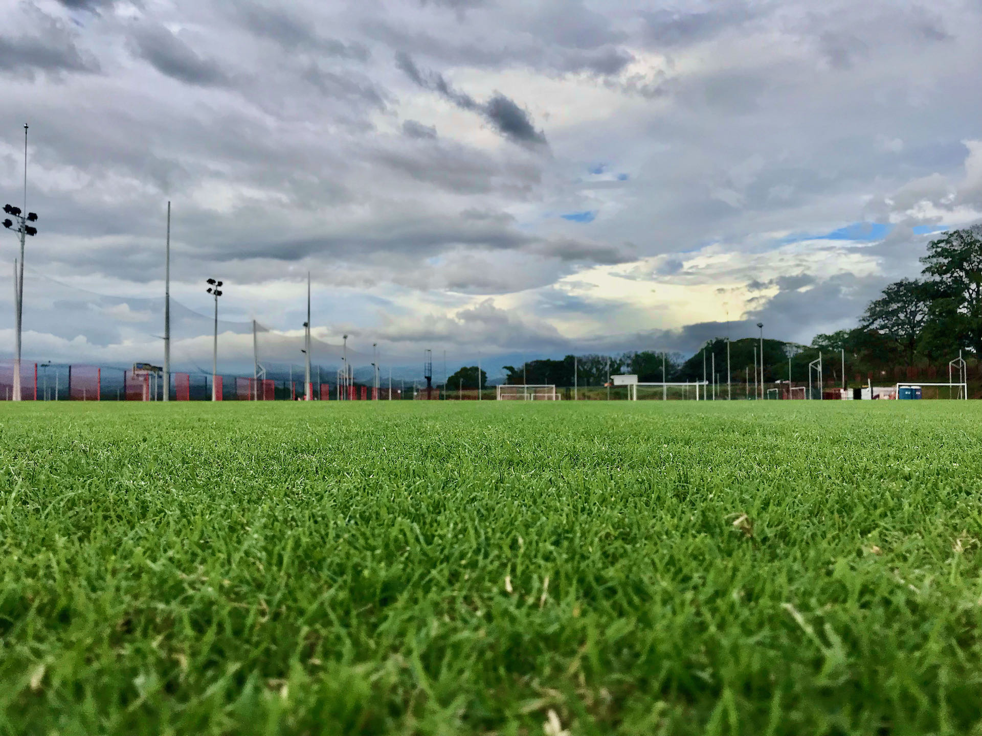 North Shore SLT™ Seeded Bermudagrass - Available From Atlas Turf