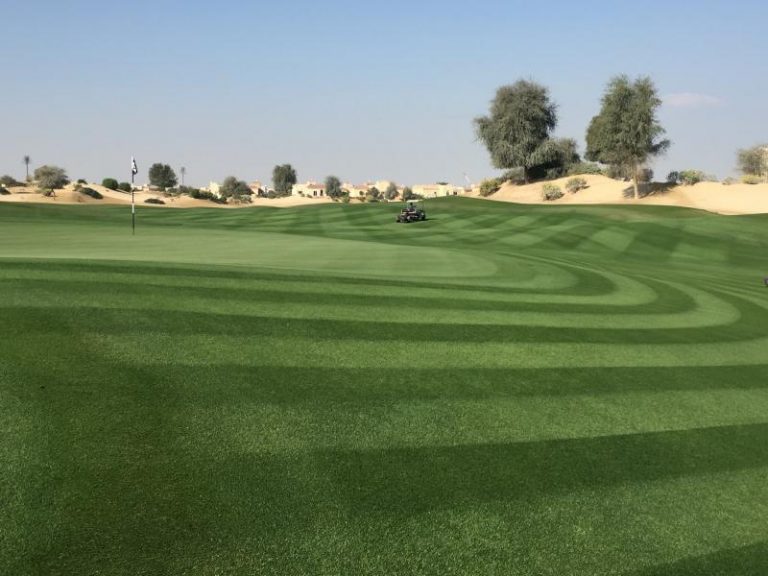 Overseeding Your Project With Pure Seed Products and Atlas Turf