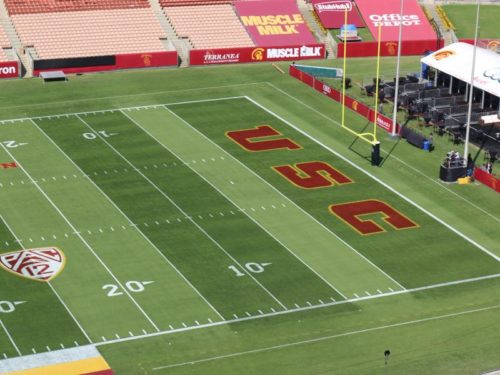 Overseeding Your Project With Pure Seed Products and Atlas Turf