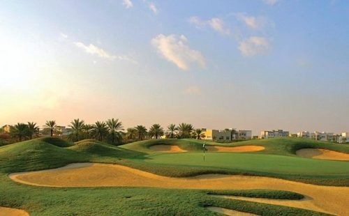 Paspalum is the sustainable turfgrass solution for golf and sports fields.