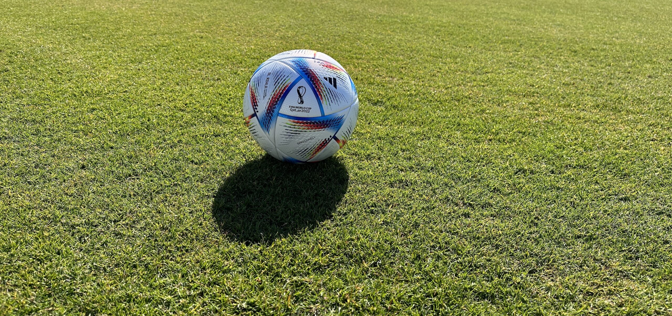 Why was Platinum TE Paspalum selected for the 2022 FIFA World Cup?