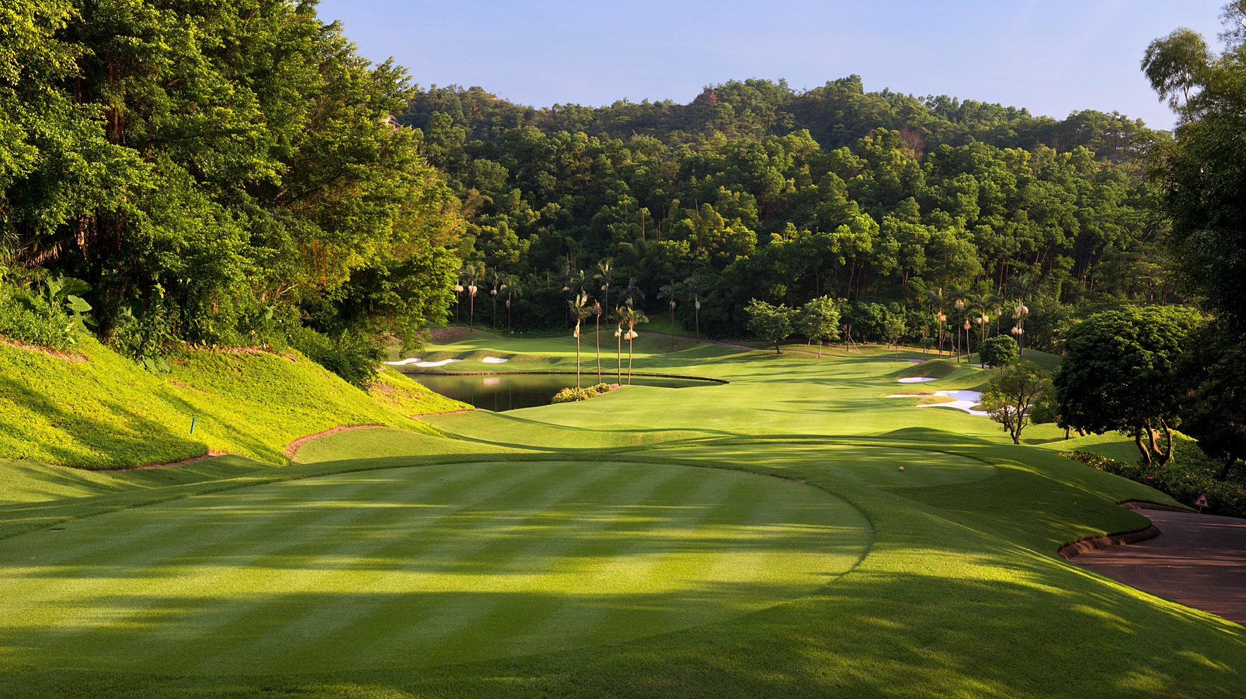 Turf Review: Platinum TE™ Paspalum - Atlas Turf International