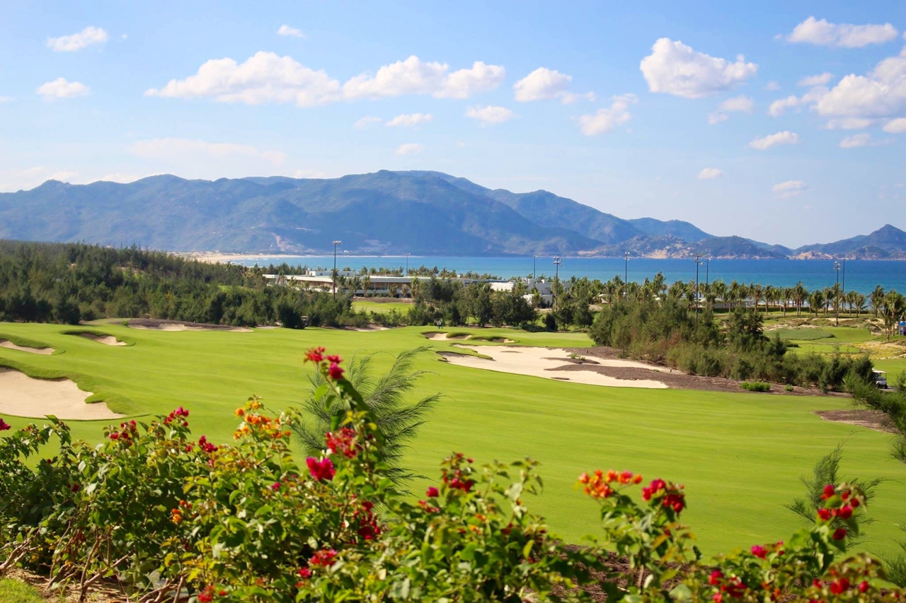 Turf Review: Platinum TE™ Paspalum - Atlas Turf International