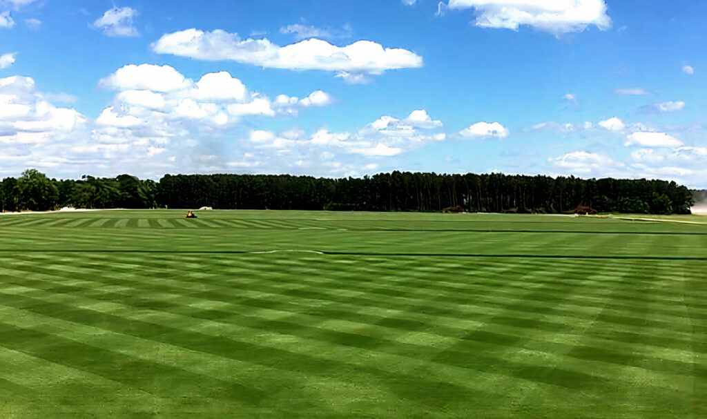 Atlas Turf International Official Providers for World Series