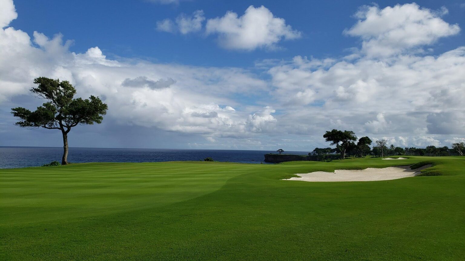 Paspalum is the sustainable turfgrass solution for golf and sports fields.