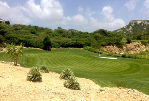 Curaçao Golf Course Uses Gradual Conversion Process for Complete Turf ...