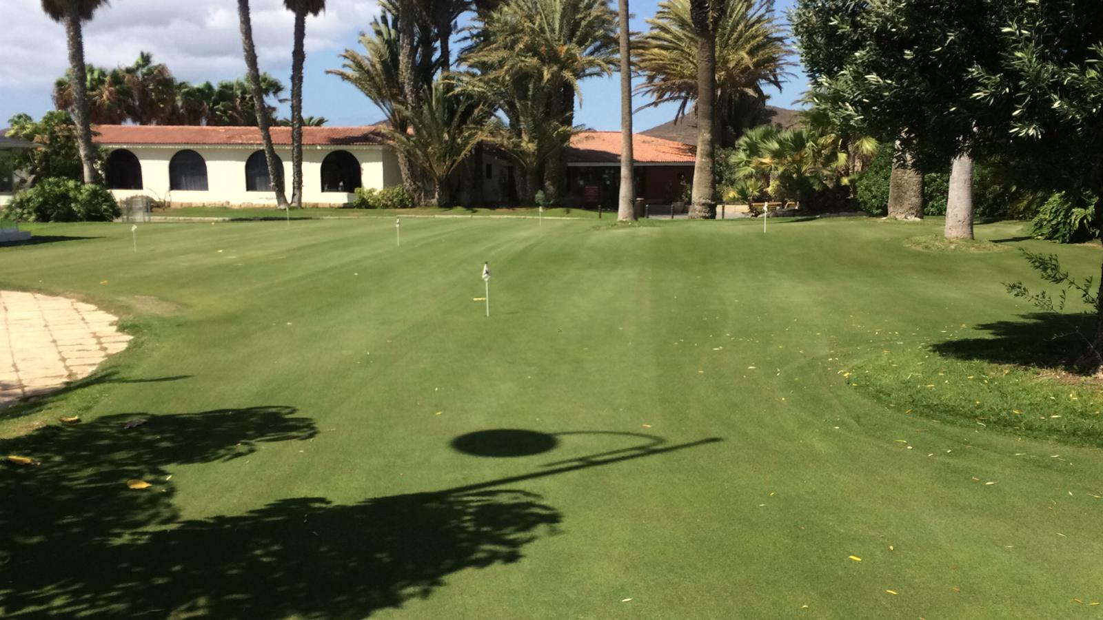 The Benefits of Interseeding Turfgrass - Atlas Turf International