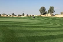 The Worldwide Leader in Cool Season Turfgrass - Atlas Turf International