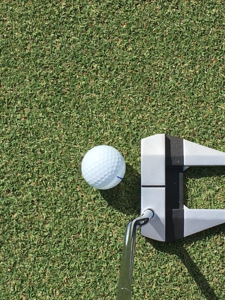 Turfgrass Photo Gallery - Atlas Turf International