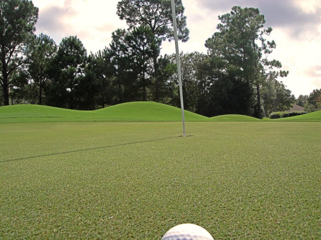 Sunday™ Ultra-Dwarf Bermudagrass - Available From Atlas Turf