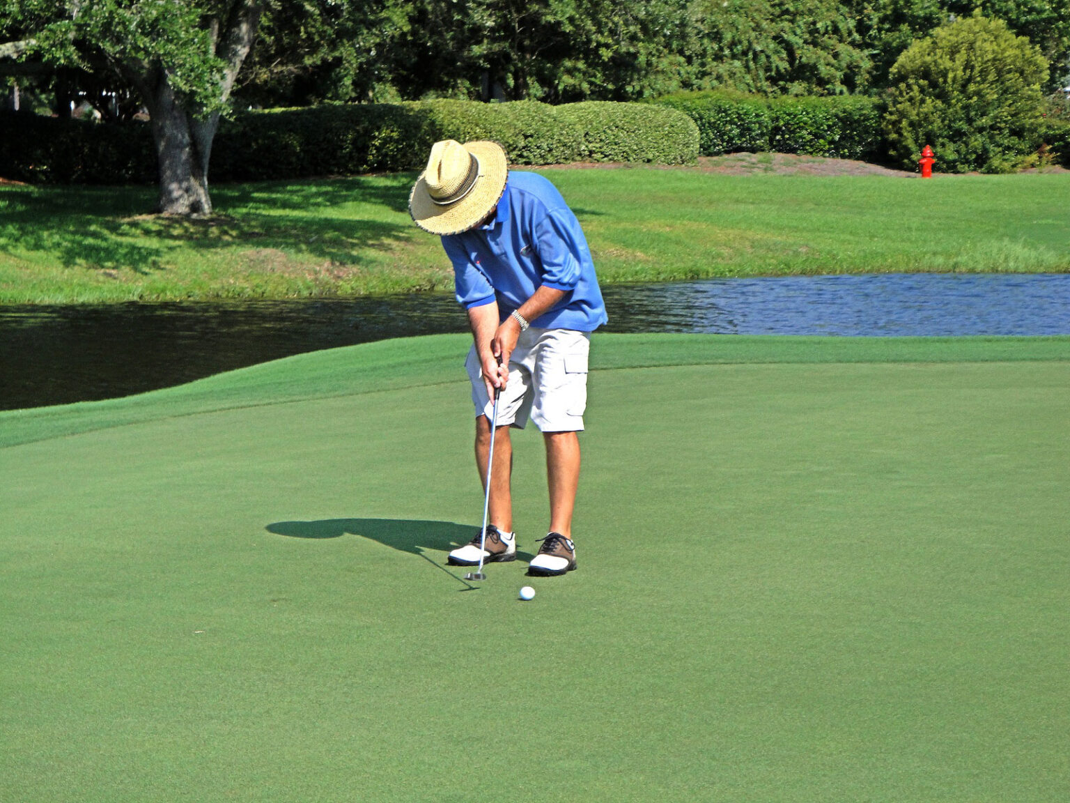 Sunday™ Ultra-Dwarf Bermudagrass - Available From Atlas Turf