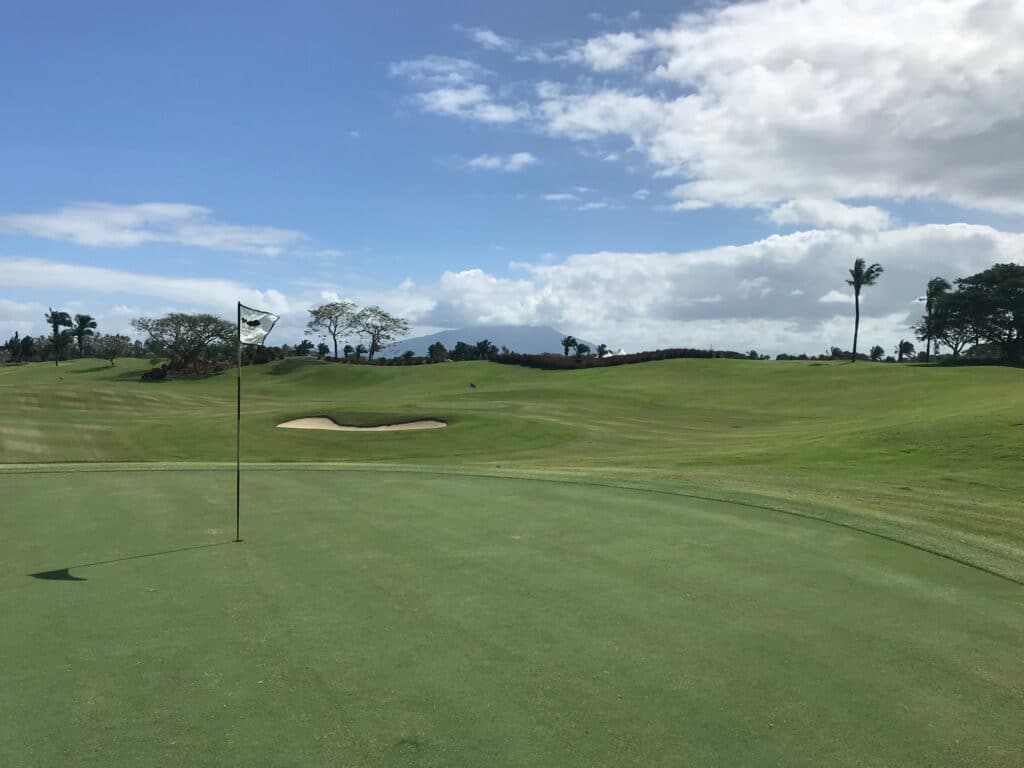 Turfgrass Photo Gallery - Atlas Turf International
