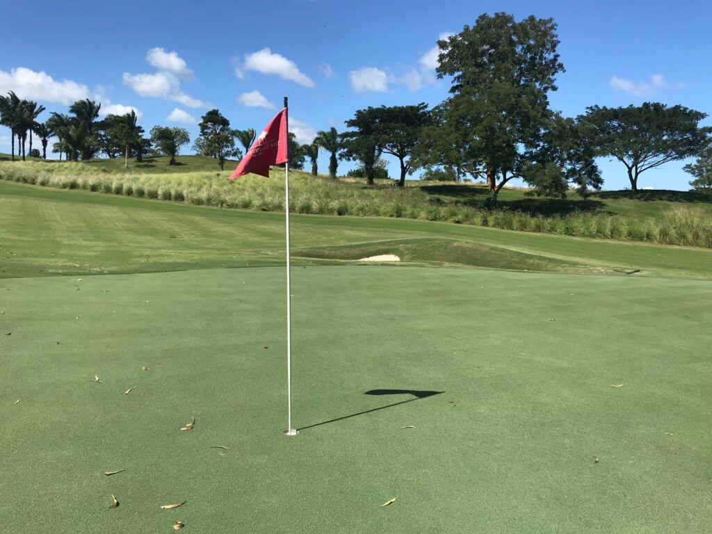 Turfgrass Photo Gallery - Atlas Turf International