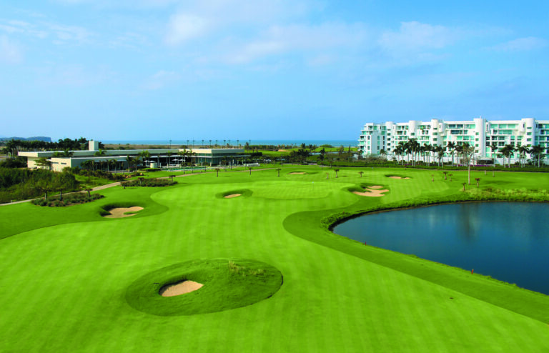 Paspalum is the sustainable turfgrass solution for golf and sports fields.