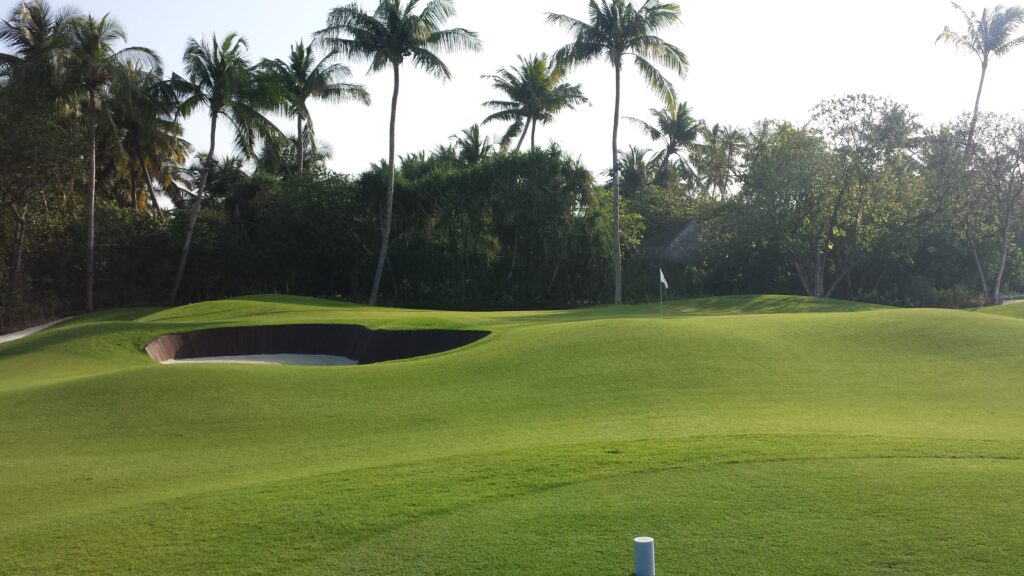 #1 Seashore Paspalum on the Market - Pure Dynasty® Seeded Paspalum