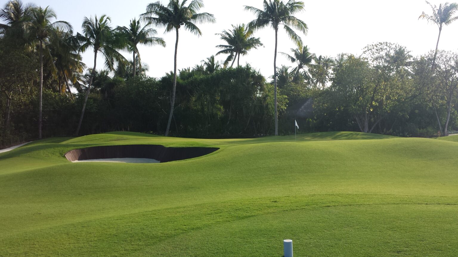 #1 Seashore Paspalum on the Market - Pure Dynasty® Seeded Paspalum