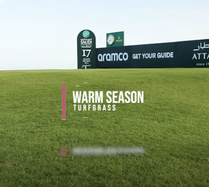 Breeding and Production of Seeded Turfgrass